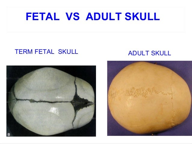 Applied anatomy of pelvis and fetal skull