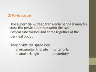 Applied Anatomy of periniummmmmmmm.pptx