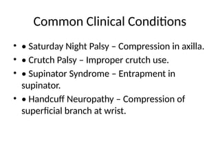 Applied_Anatomy_of_Radial_Nerve cl .pptx