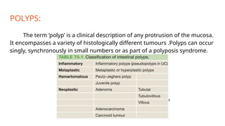 Applied Anatomy of Right Iliac Fossa, Small Bowel and Large Bowel..pptx