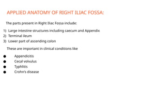 Applied Anatomy of Right Iliac Fossa, Small Bowel and Large Bowel..pptx