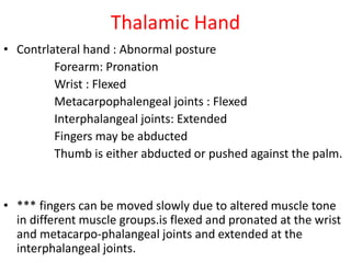 Applied anatomy of thalamus | PPTX
