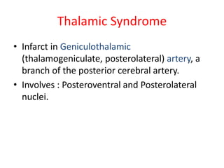Applied anatomy of thalamus | PPTX