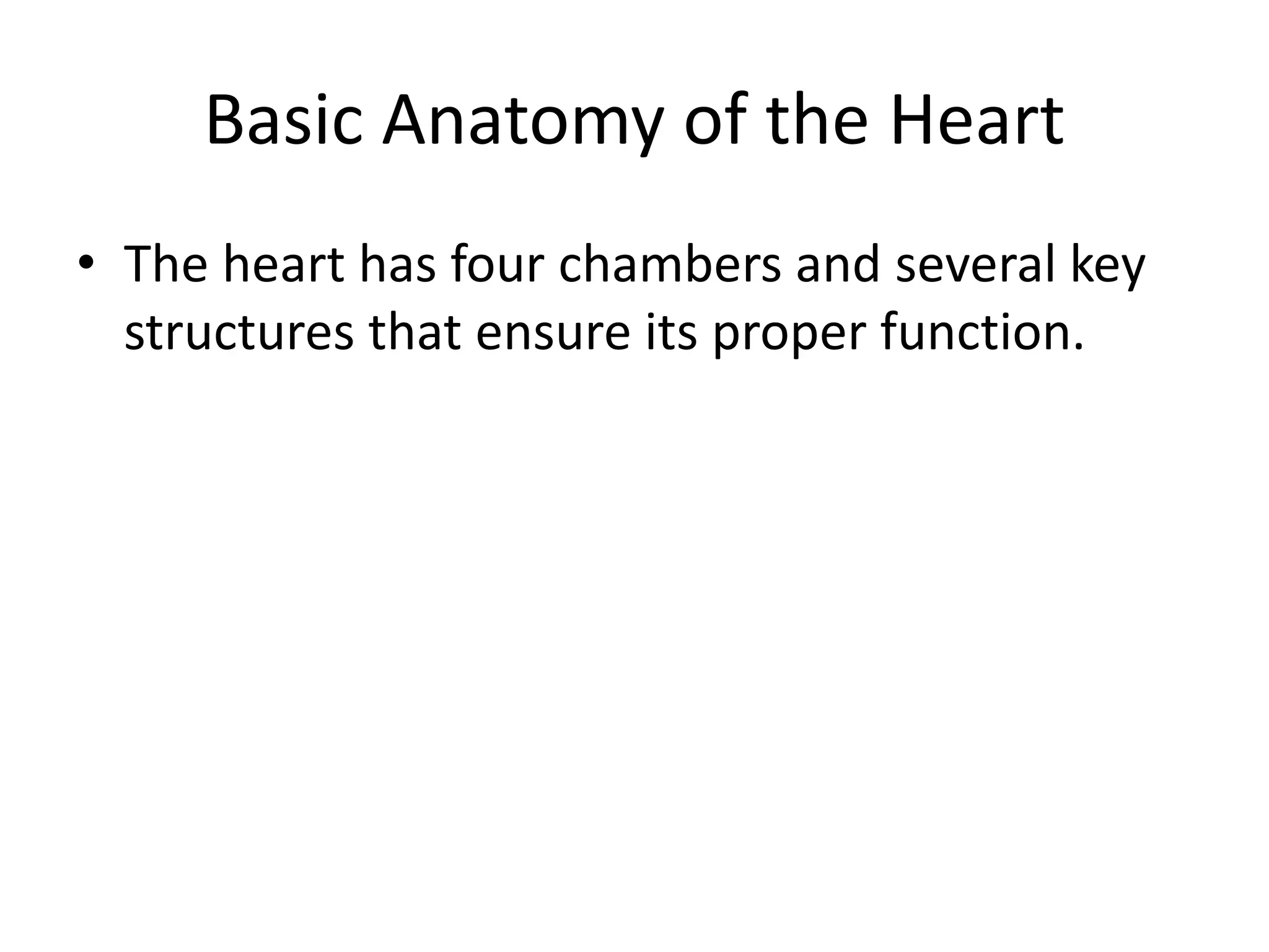 Applied Anatomy of the Heart For Under and Post Graduates | PPTX