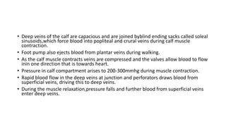 Applied anatomy of the lower limb venous system-1.pptx
