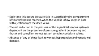 Applied anatomy of the lower limb venous system-1.pptx