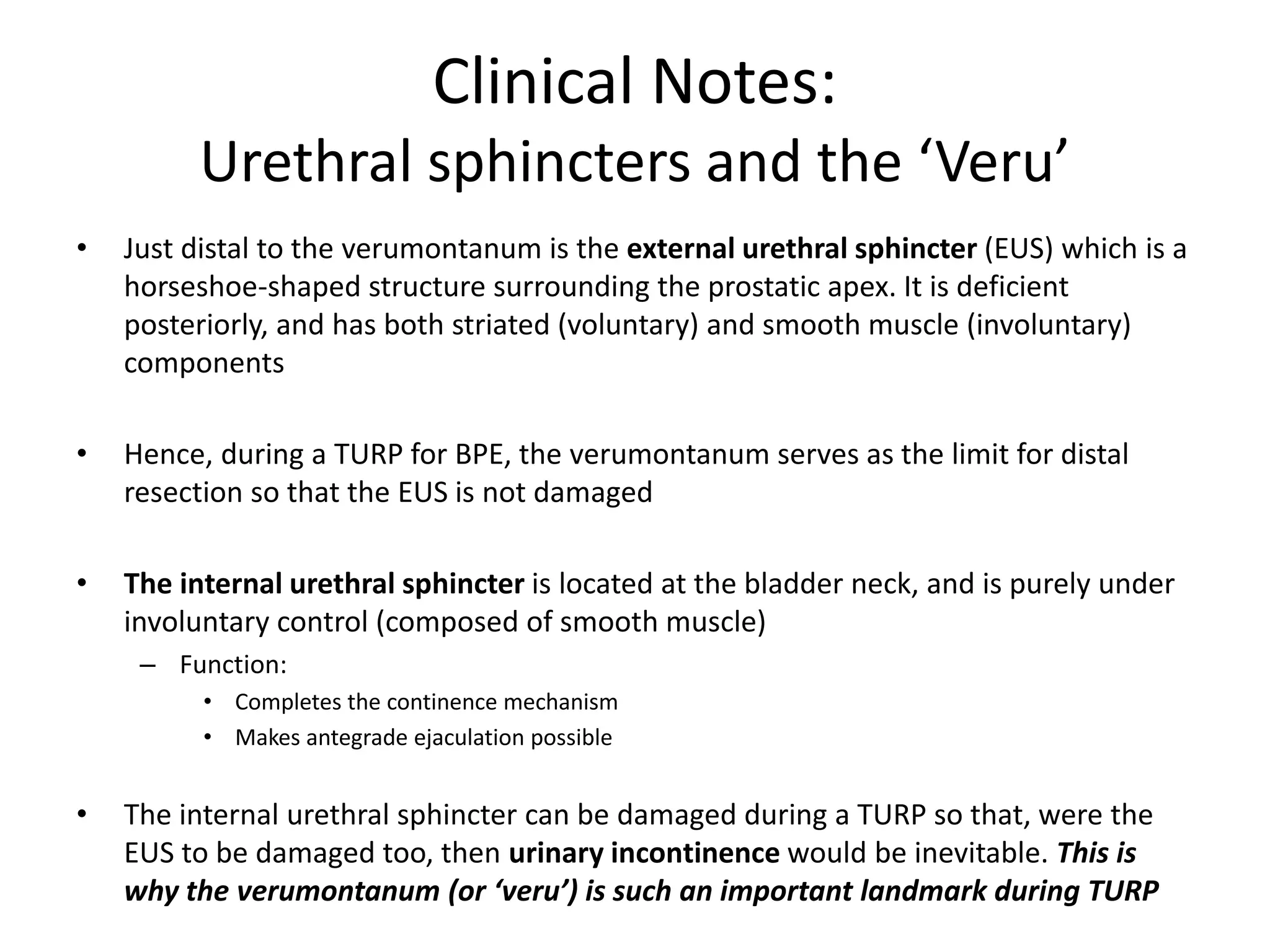 Applied anatomy of the prostate and seminal vesicles | PPTX