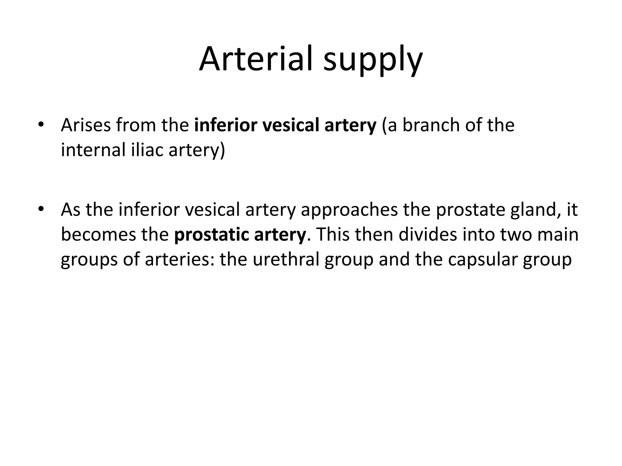 Applied anatomy of the prostate and seminal vesicles | PPTX