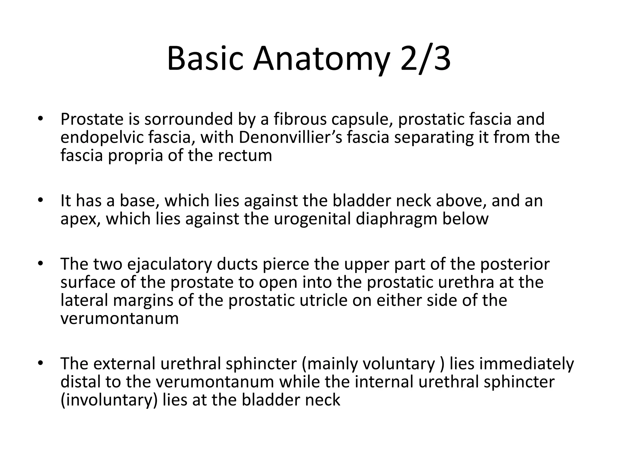 Applied anatomy of the prostate and seminal vesicles | PPTX