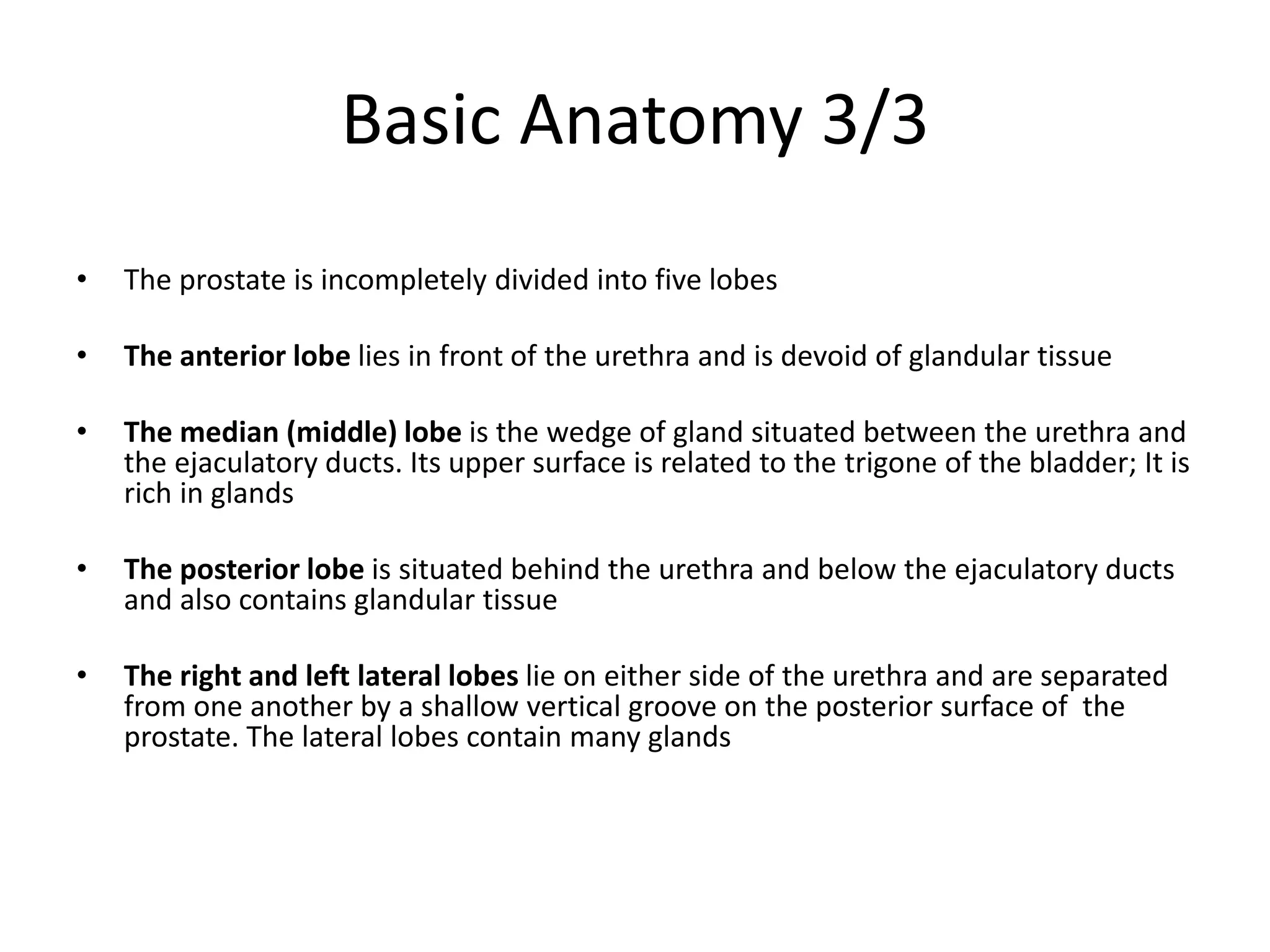 Applied anatomy of the prostate and seminal vesicles | PPTX