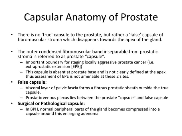 Applied anatomy of the prostate and seminal vesicles | PPTX
