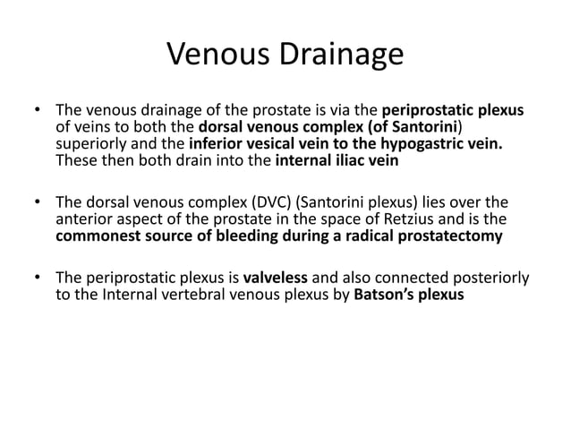 Applied anatomy of the prostate and seminal vesicles | PPTX