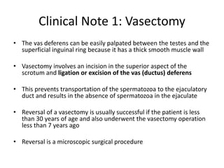 Applied anatomy of the prostate and seminal vesicles | PPTX