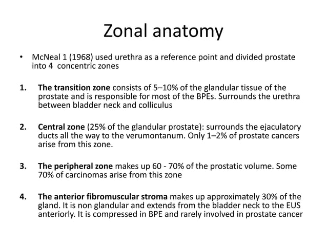 Applied anatomy of the prostate and seminal vesicles | PPTX