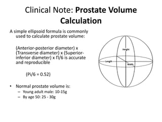 Applied anatomy of the prostate and seminal vesicles | PPT
