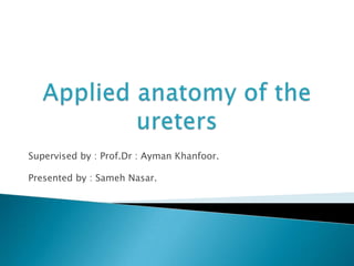 Applied anatomy of the ureters | PPTX