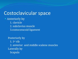 Applied Anatomy of Thoracic Outlets pptx | PPTX
