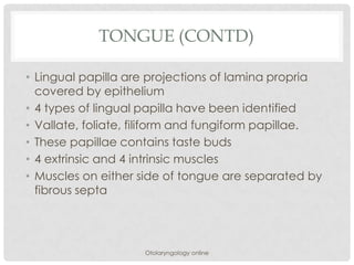 Applied anatomy of throat | PPTX