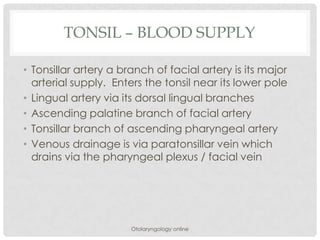 Applied anatomy of throat | PPTX