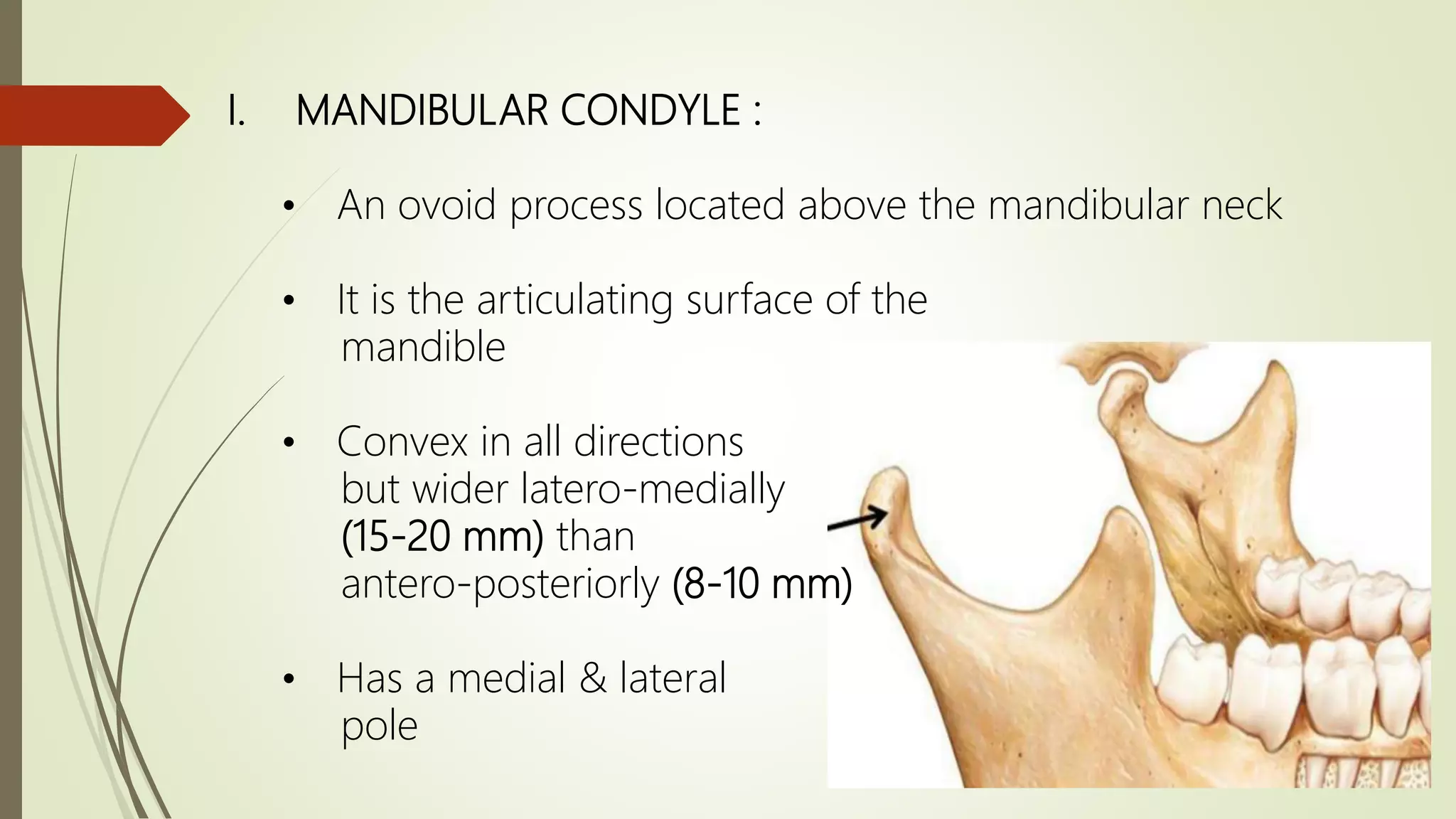 Applied anatomy of tmj | PPTX