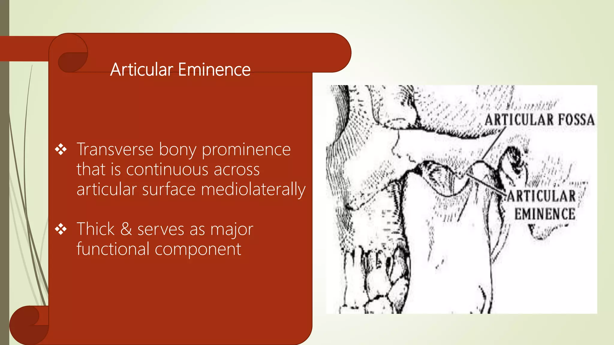 Applied anatomy of tmj | PPTX