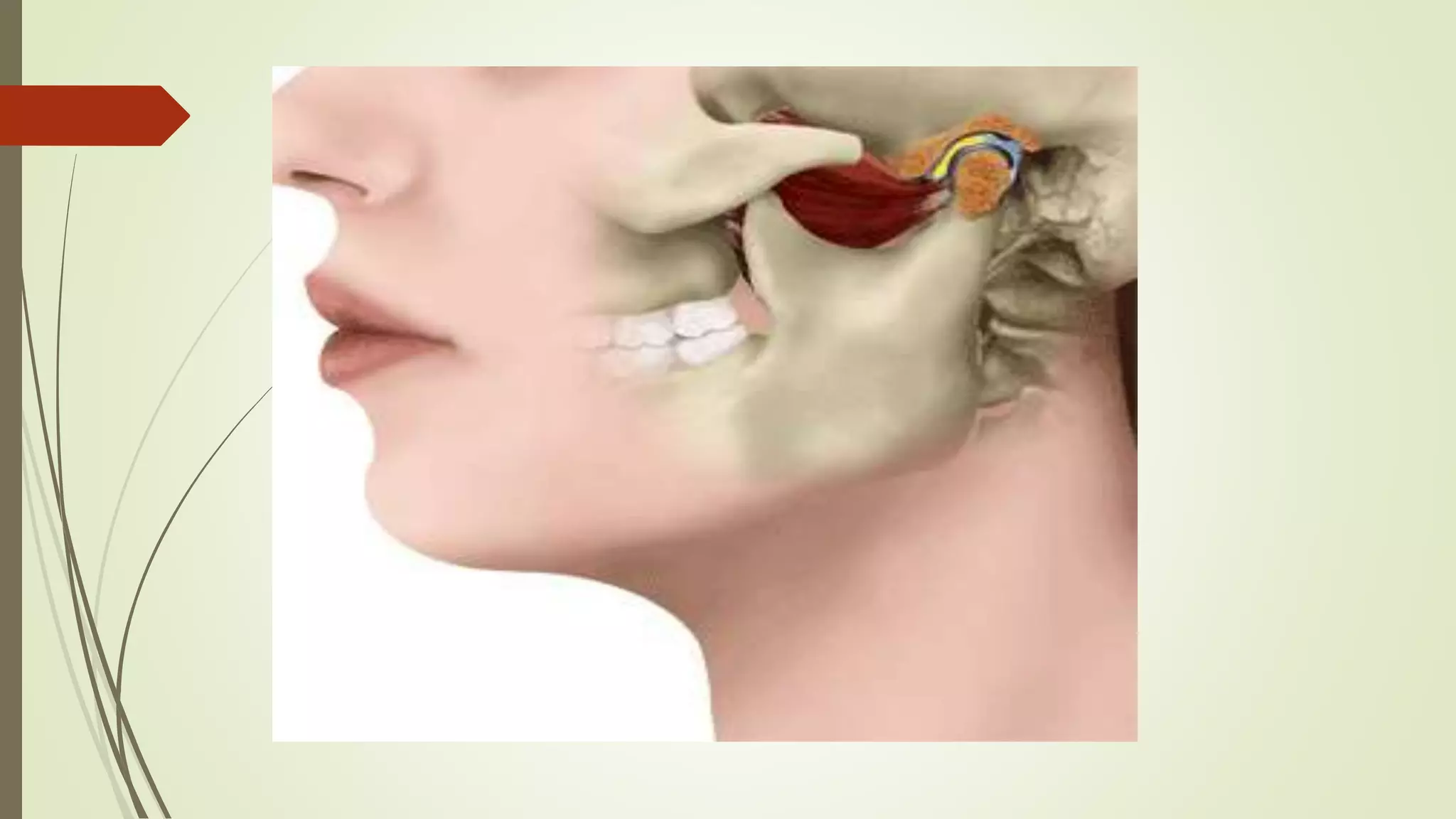 Applied anatomy of tmj | PPTX