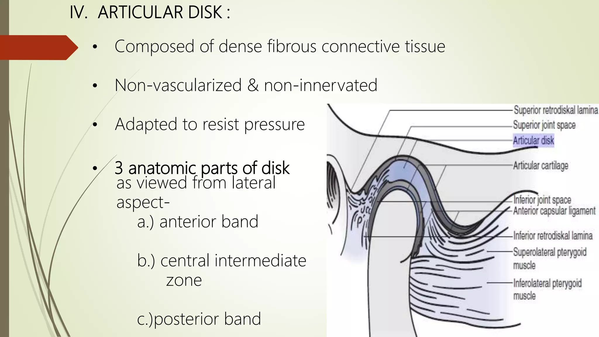 Applied anatomy of tmj | PPTX