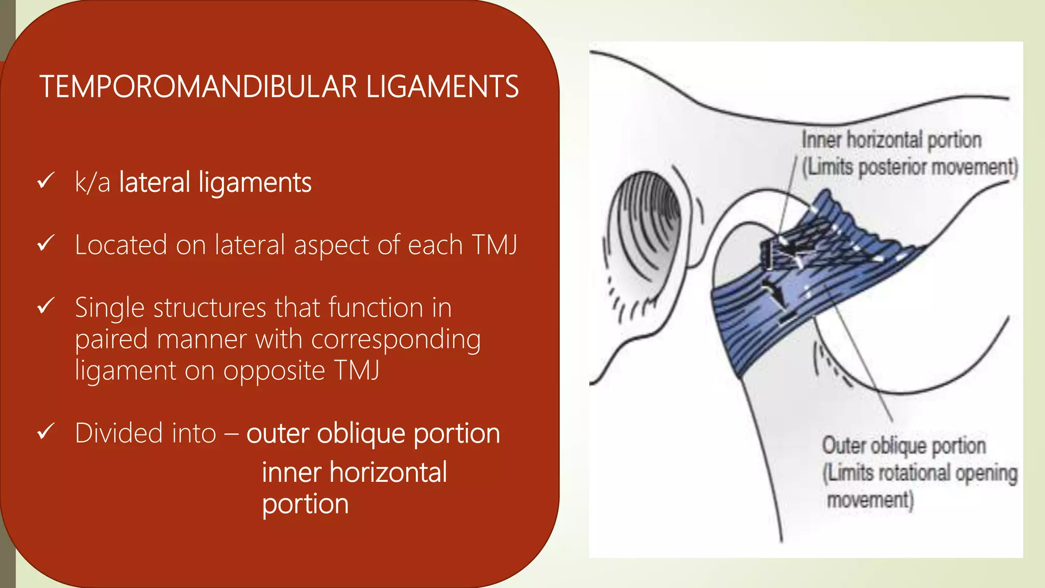 Applied anatomy of tmj | PPTX