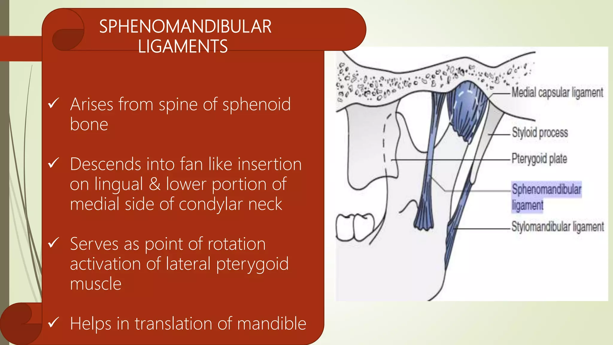 Applied anatomy of tmj | PPTX