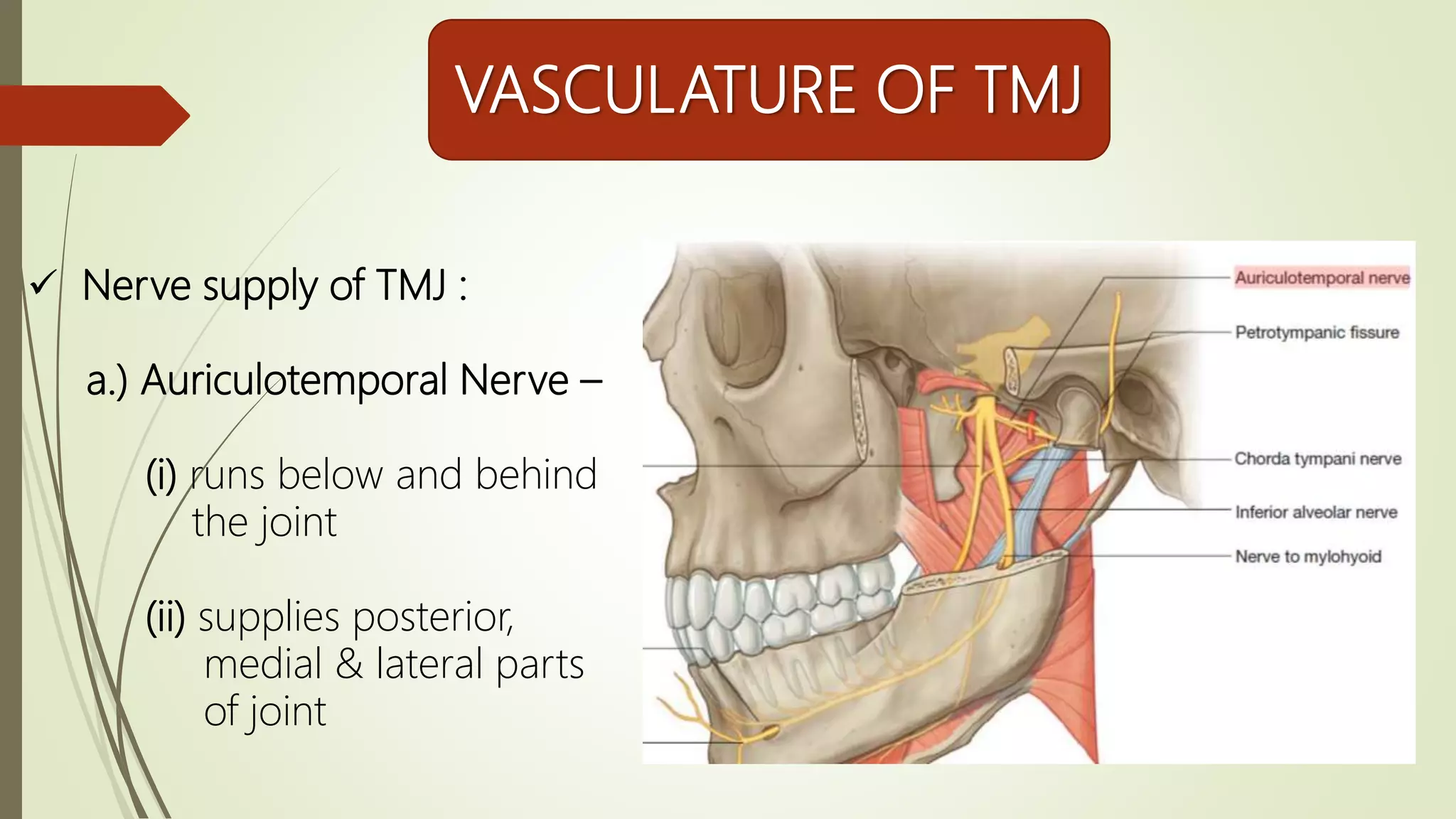 Applied anatomy of tmj | PPTX
