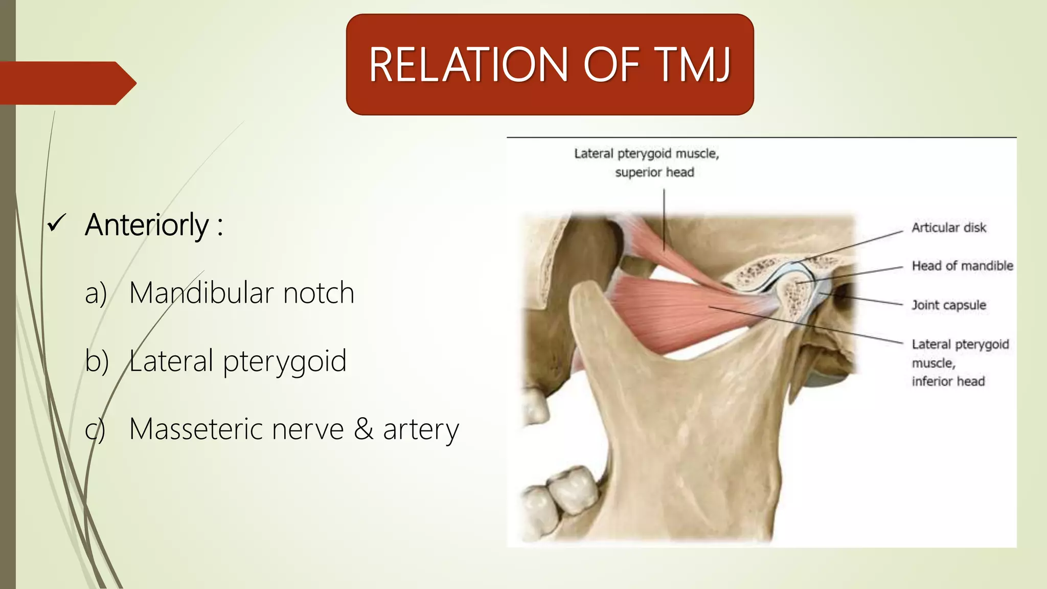 Applied anatomy of tmj | PPTX