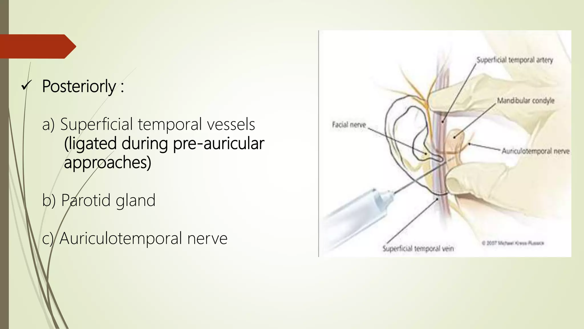 Applied anatomy of tmj | PPTX
