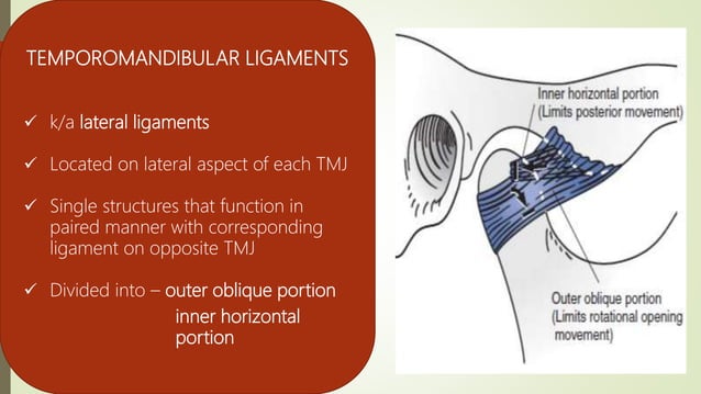 Applied anatomy of tmj | PPTX