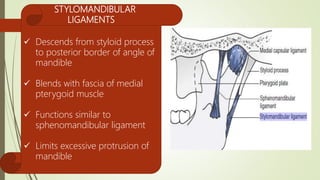 Applied anatomy of tmj | PPTX