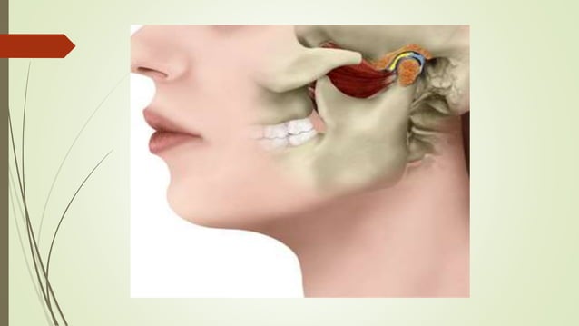 Applied anatomy of tmj | PPTX