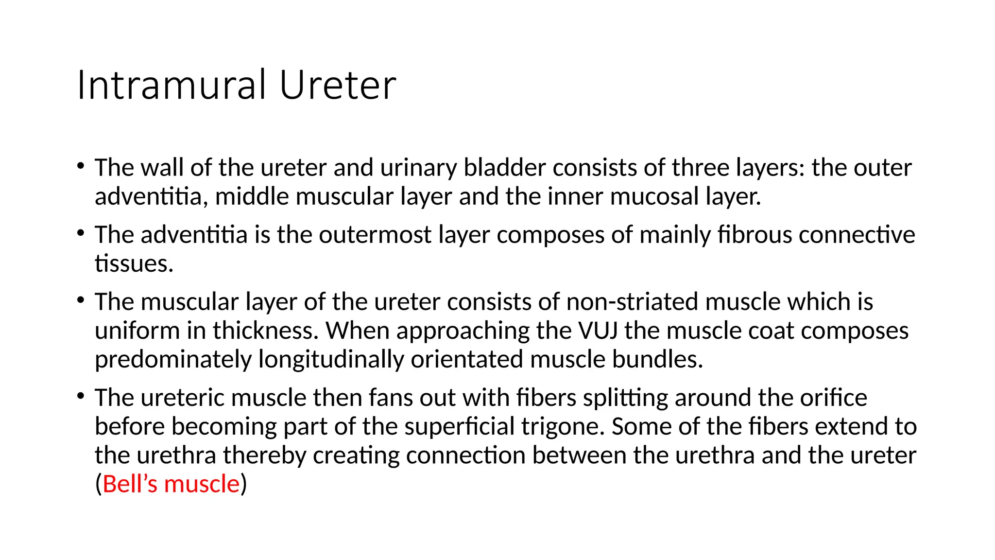 Applied Anatomy of Ureter in detail for urologist | PPTX