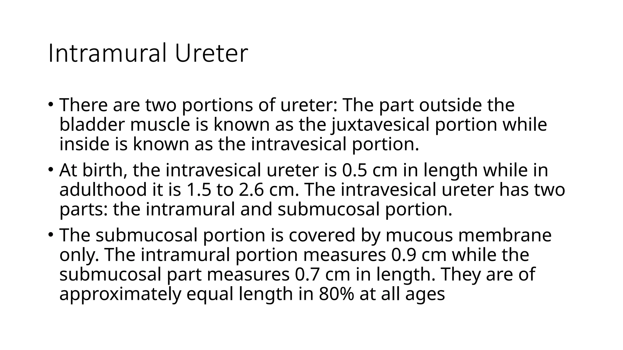 Applied Anatomy of Ureter in detail for urologist | PPTX