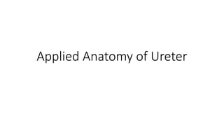 Applied Anatomy of Ureter in detail for urologist | PPTX