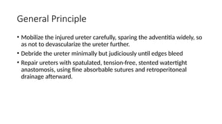 Applied Anatomy of Ureter in detail for urologist | PPTX
