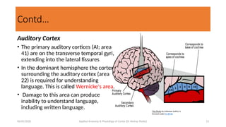 Applied Anatomy & Phsiology of Cortex.pptx