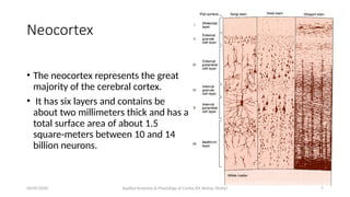 Applied Anatomy & Phsiology of Cortex.pptx
