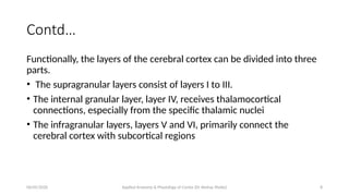 Applied Anatomy & Phsiology of Cortex.pptx