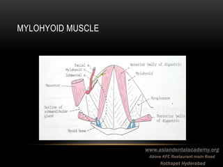 Applied anatomy,physiology for dental implants | PDF