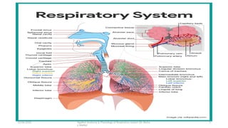 Applied anatomy & physiology RS.pptx1.pptx