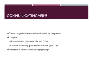Applied_Anatomy_Venous_System_Lower_Limb.pptx