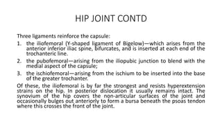 Applied and clinical anatomy of lower limb | PPTX