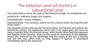 Applied and clinical anatomy of lower limb | PPTX