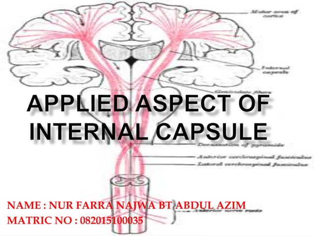 Applied aspect of internal capsule | PPTX | Brain and Nervous System ...