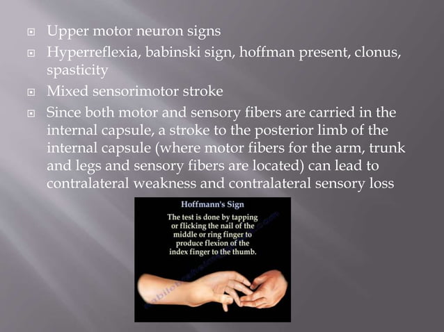 Applied aspect of internal capsule | PPTX | Brain and Nervous System ...