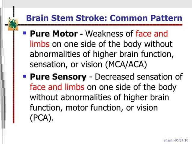 Applied aspect of internal capsule | PPTX | Brain and Nervous System ...